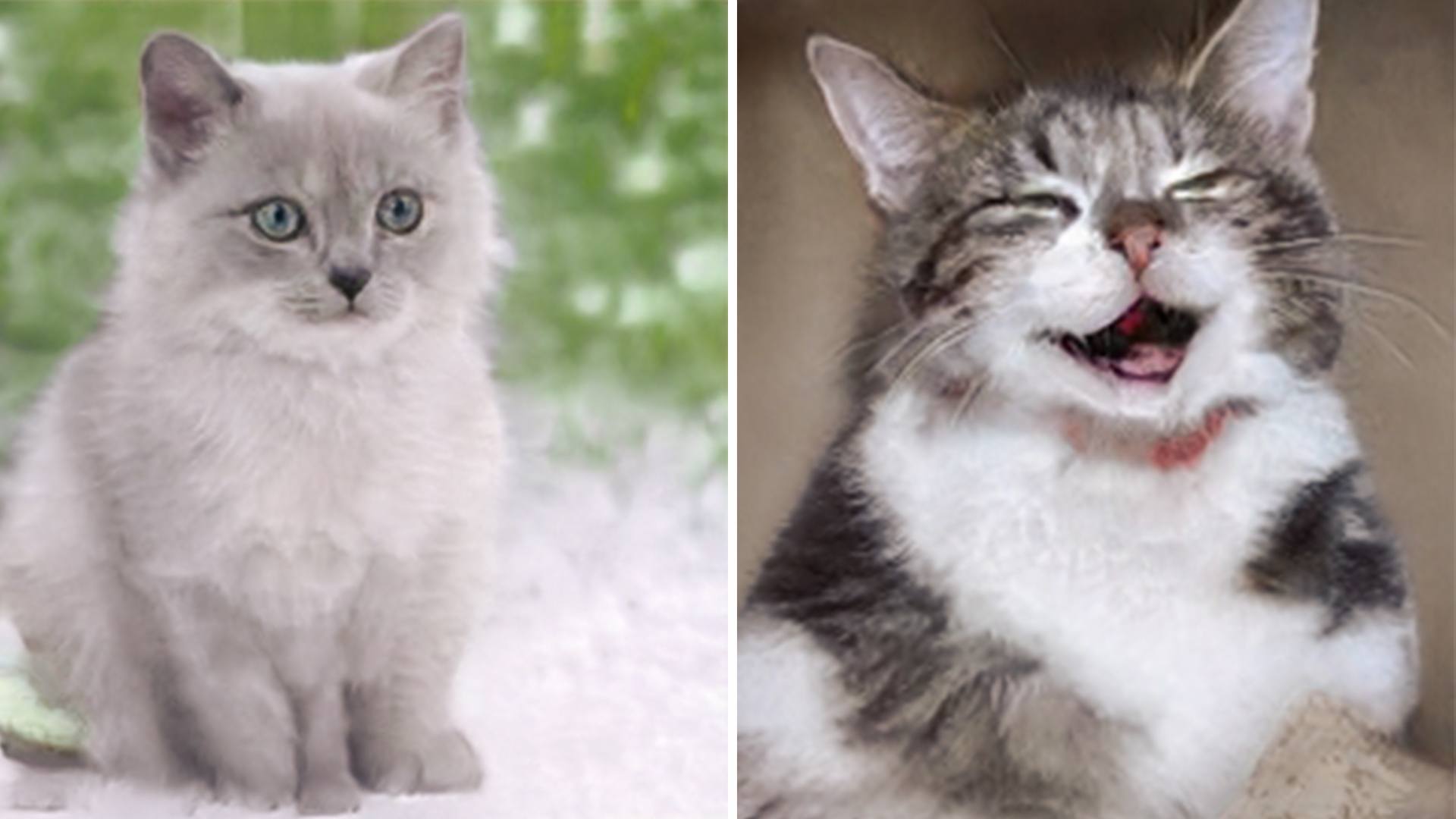 Den här sajten gör människoansikten med AI