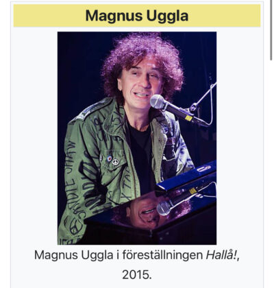 21 svenska kändisar med väldigt roliga Wikipediabilder