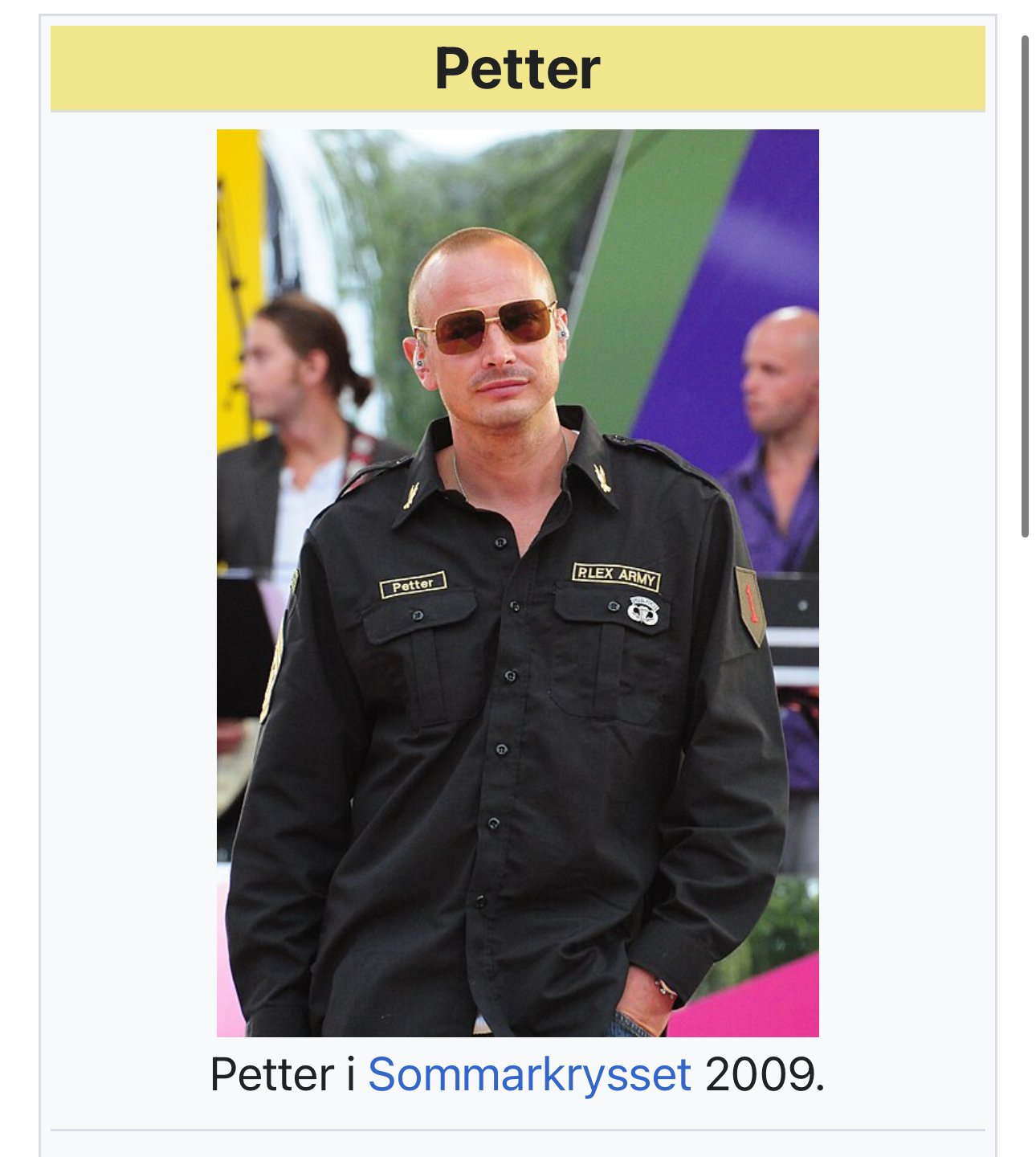 21 svenska kändisar med väldigt roliga Wikipediabilder